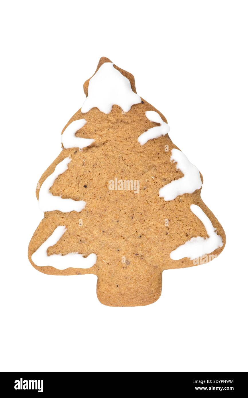Gingerbread cookie in tree shape isolated on white background Stock ...