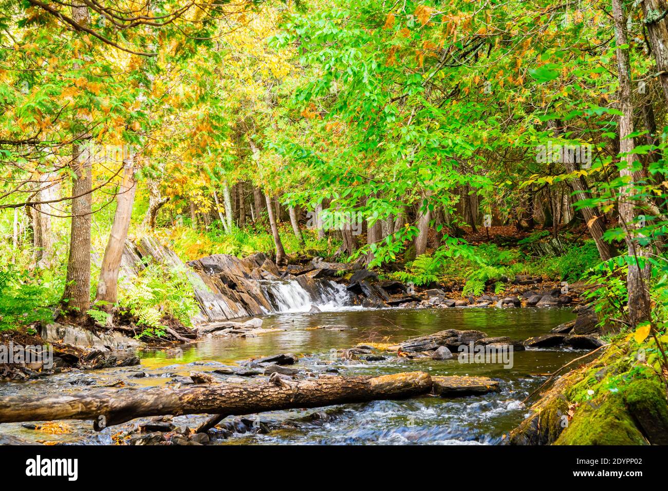 Cordova Falls Cordova Lake Crowe River Havelock Peterborough County ...