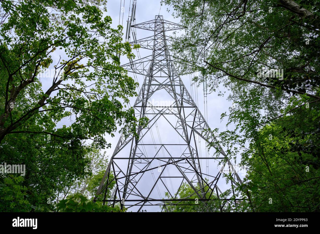 Electricity Pylon ZQ36, Salford, Manchester Stock Photo - Alamy
