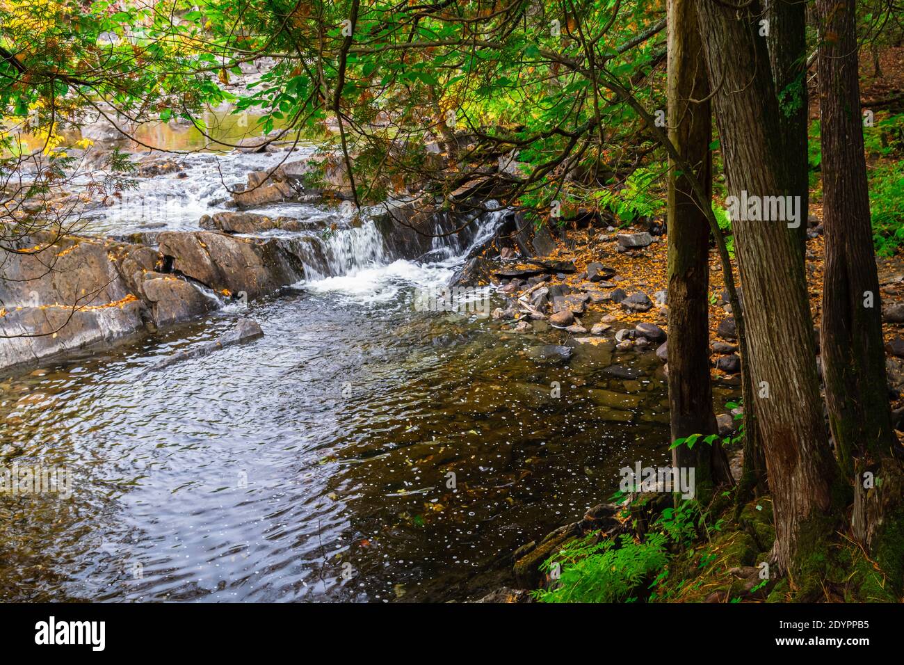 Cordova Falls Cordova Lake Crowe River Havelock Peterborough County ...