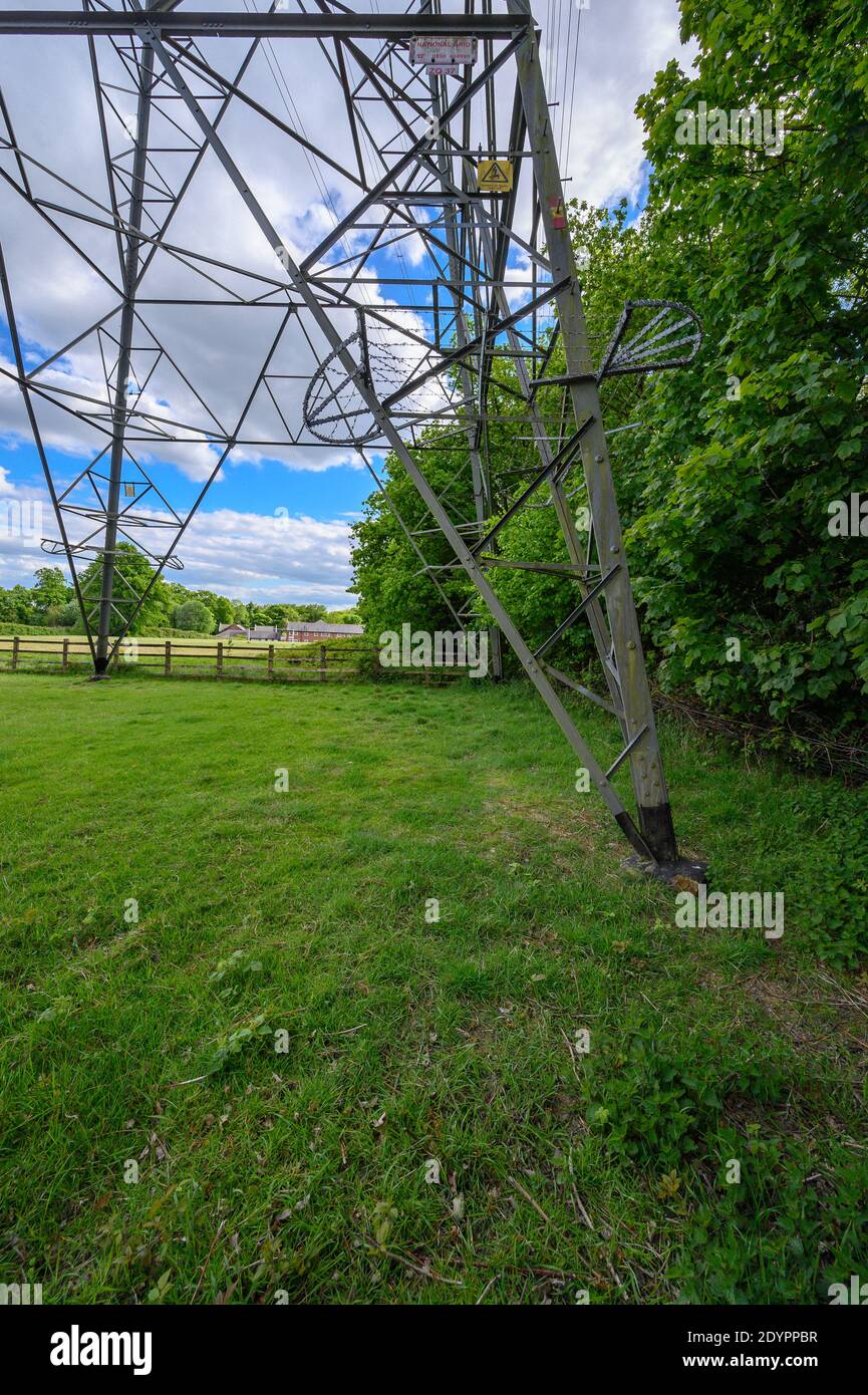 Leaf and electricity pylon hi-res stock photography and images - Alamy