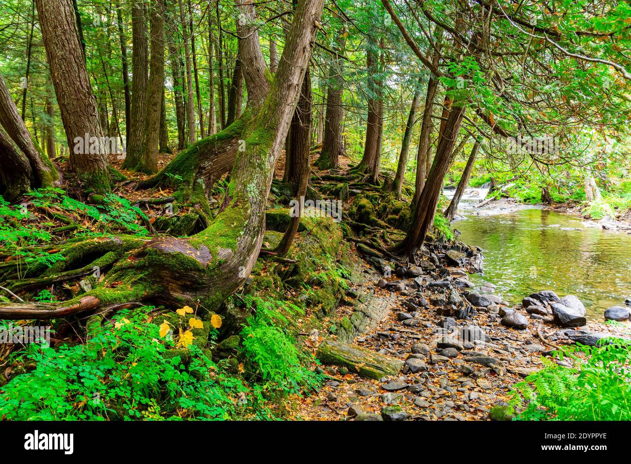 Cordova Falls Cordova Lake Crowe River Havelock Peterborough County ...