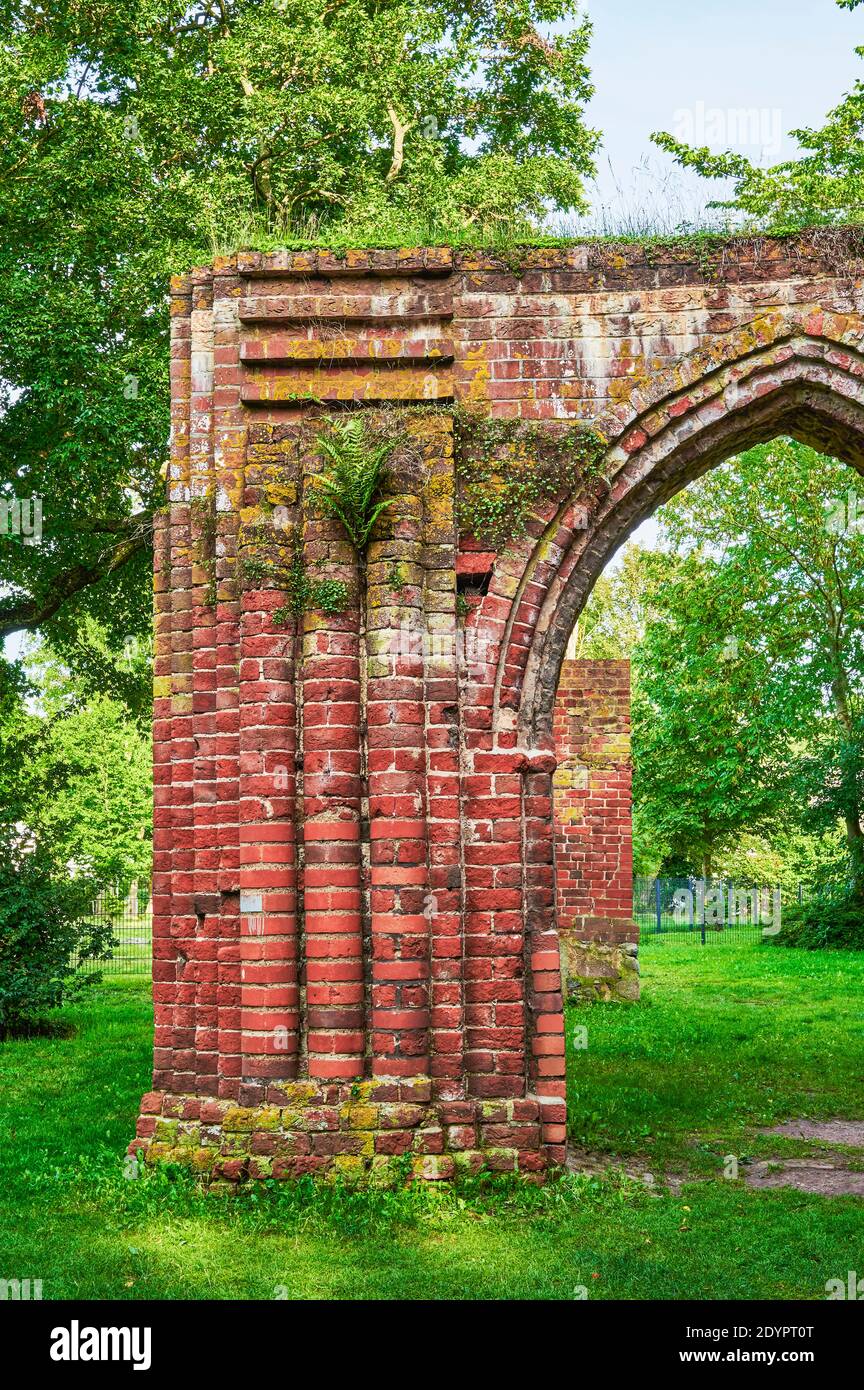 Medieval ruined monastery in a public park in Greifswald, Germany Stock ...