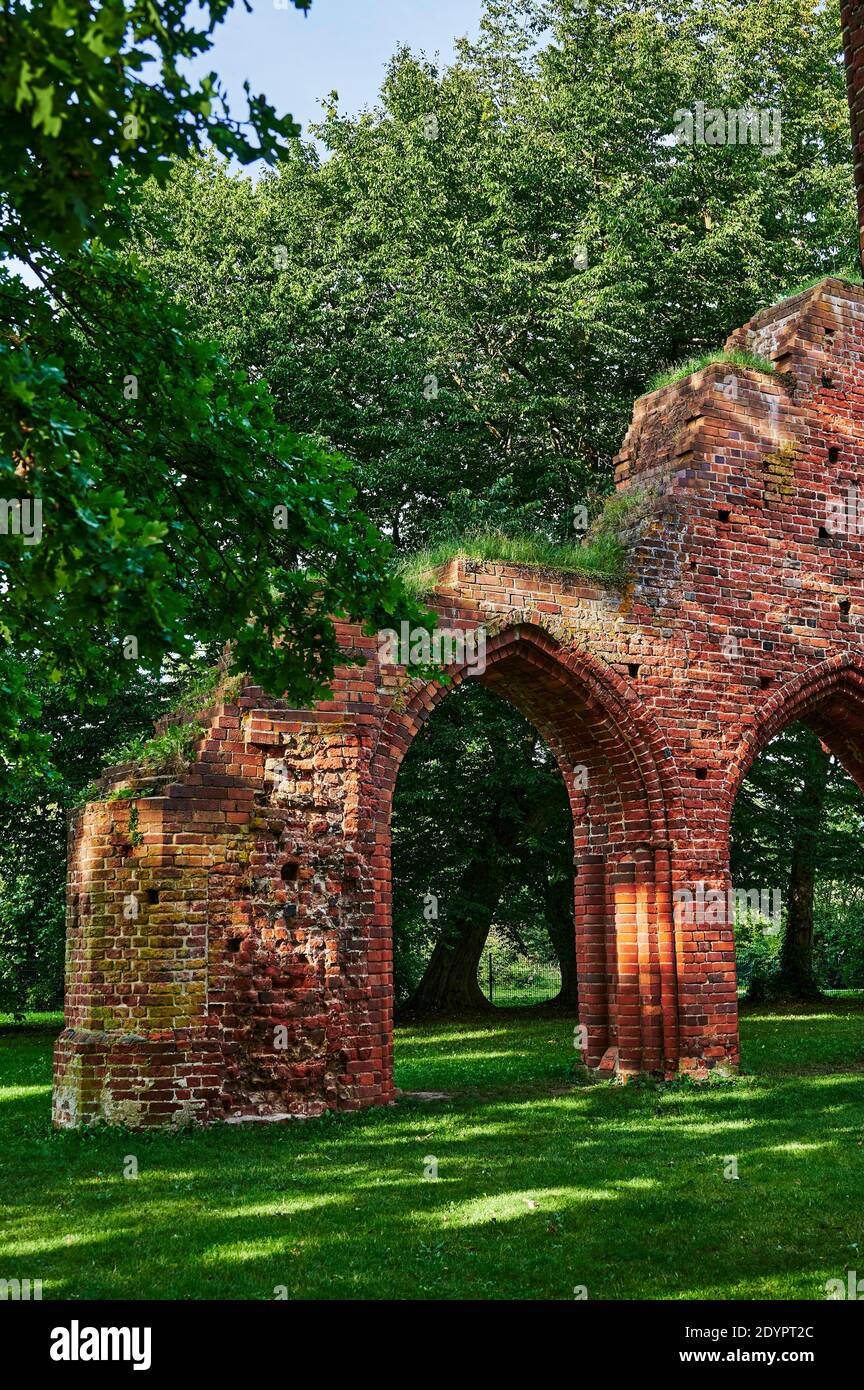 Medieval ruined monastery in a public park in Greifswald, Germany Stock ...
