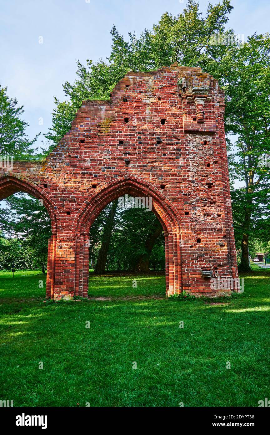 Medieval ruined monastery in a public park in Greifswald, Germany Stock ...