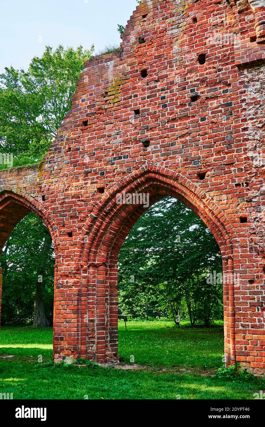 Medieval ruined monastery in a public park in Greifswald, Germany Stock ...