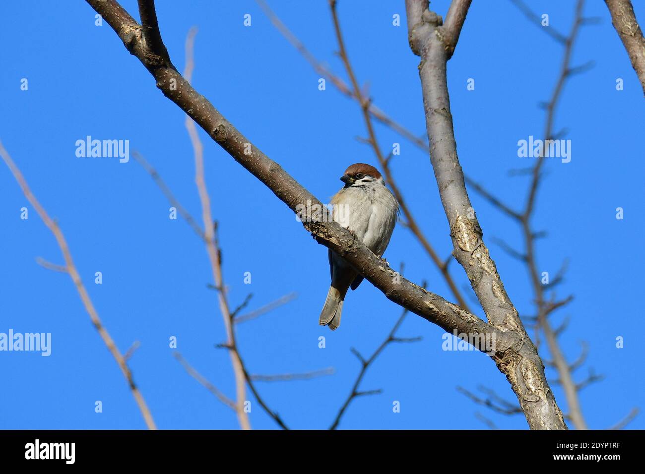 Lat 47 46344800 hi-res stock photography and images - Alamy