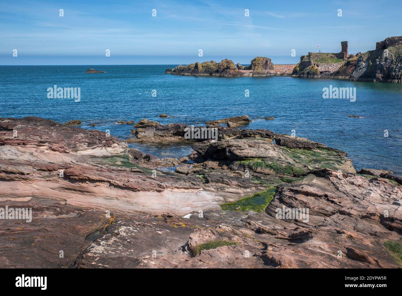 Rocky beach at Belhaven Bay Dunbar Scotland Stock Photo - Alamy