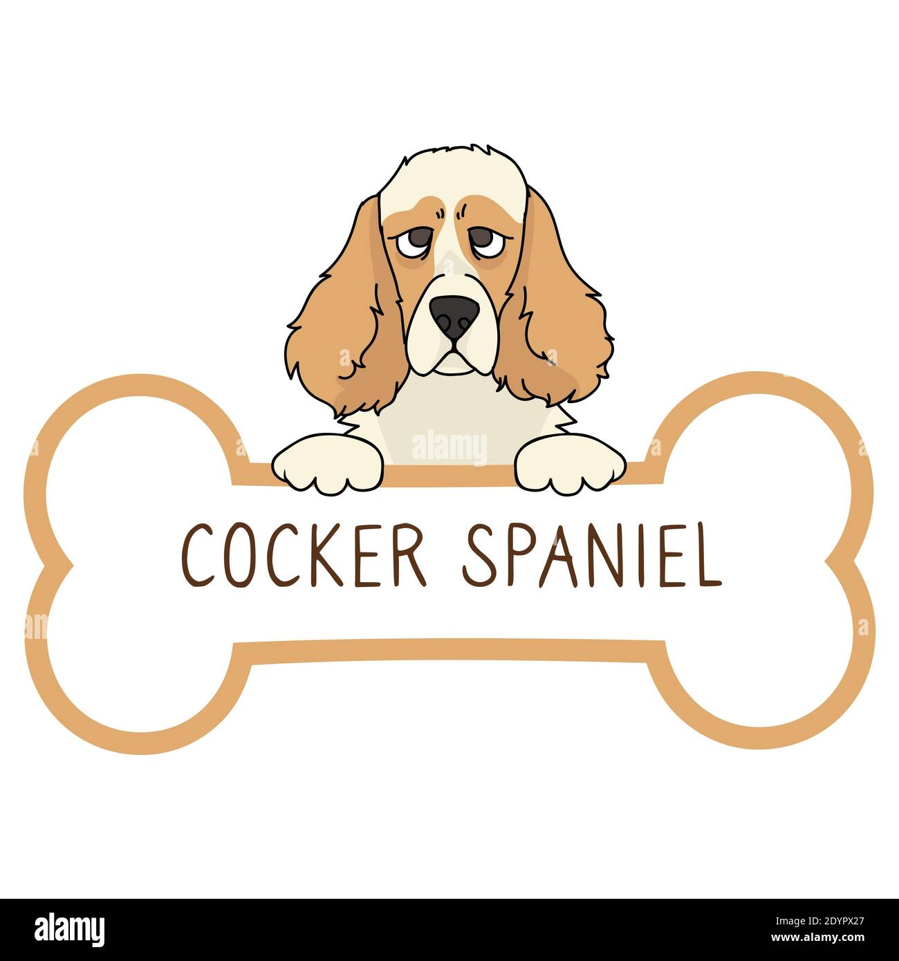 Cute cartoon Cocker Spaniel on collar dog tag vector clipart. Purebred ...