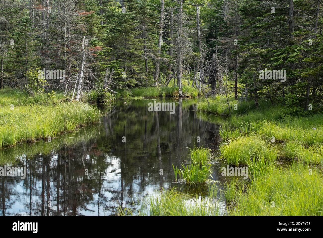 This small narrow section of river connects and runs thru The ...