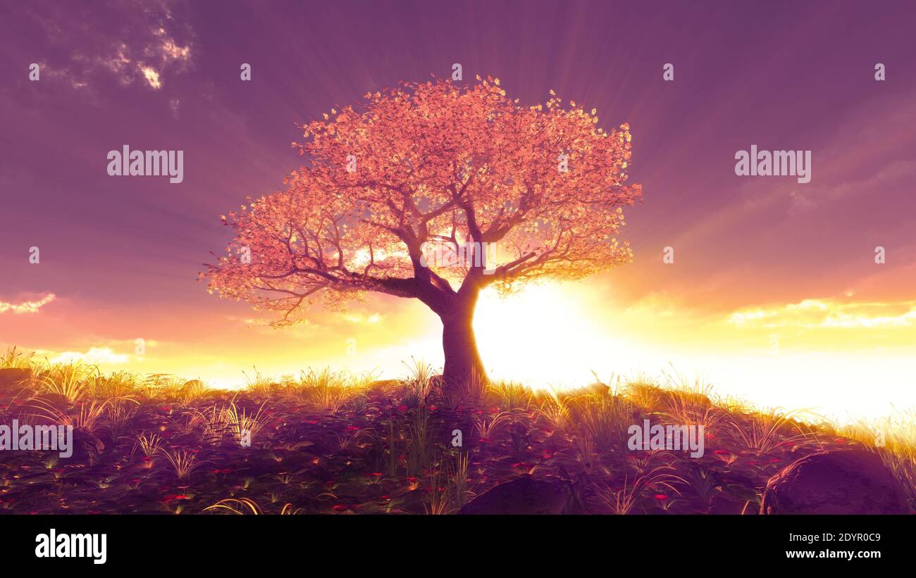 tree spring in meadow sunset illustration, 3d rendering Stock Photo - Alamy