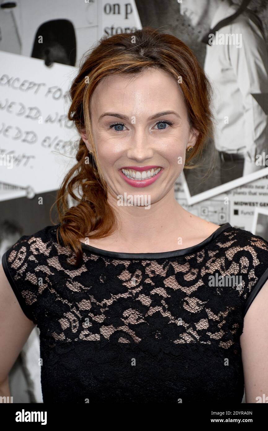 Wynn Everett attends the premiere of HBO's 'The Newsroom' Season 2 at Paramount Theater in Los ...