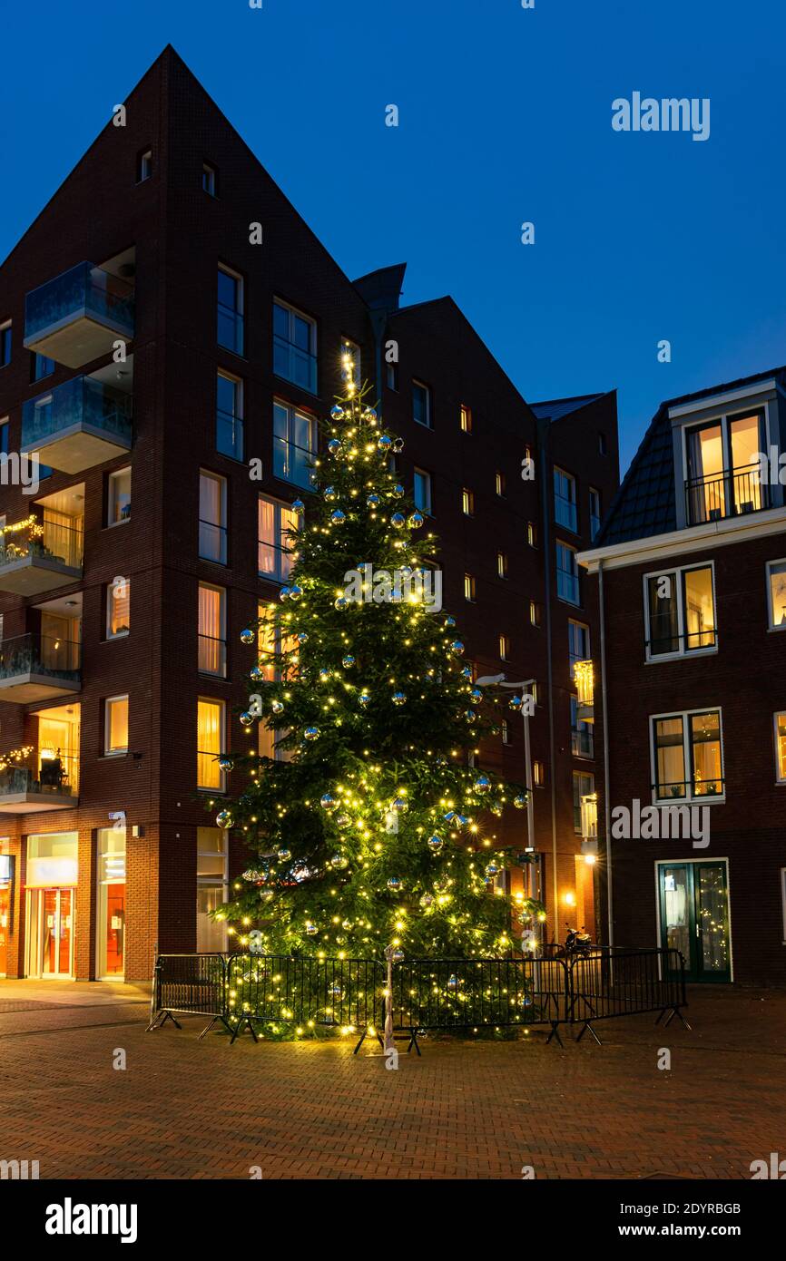 Night view of a decorated Christmas tree in the centre of a Dutch town ...