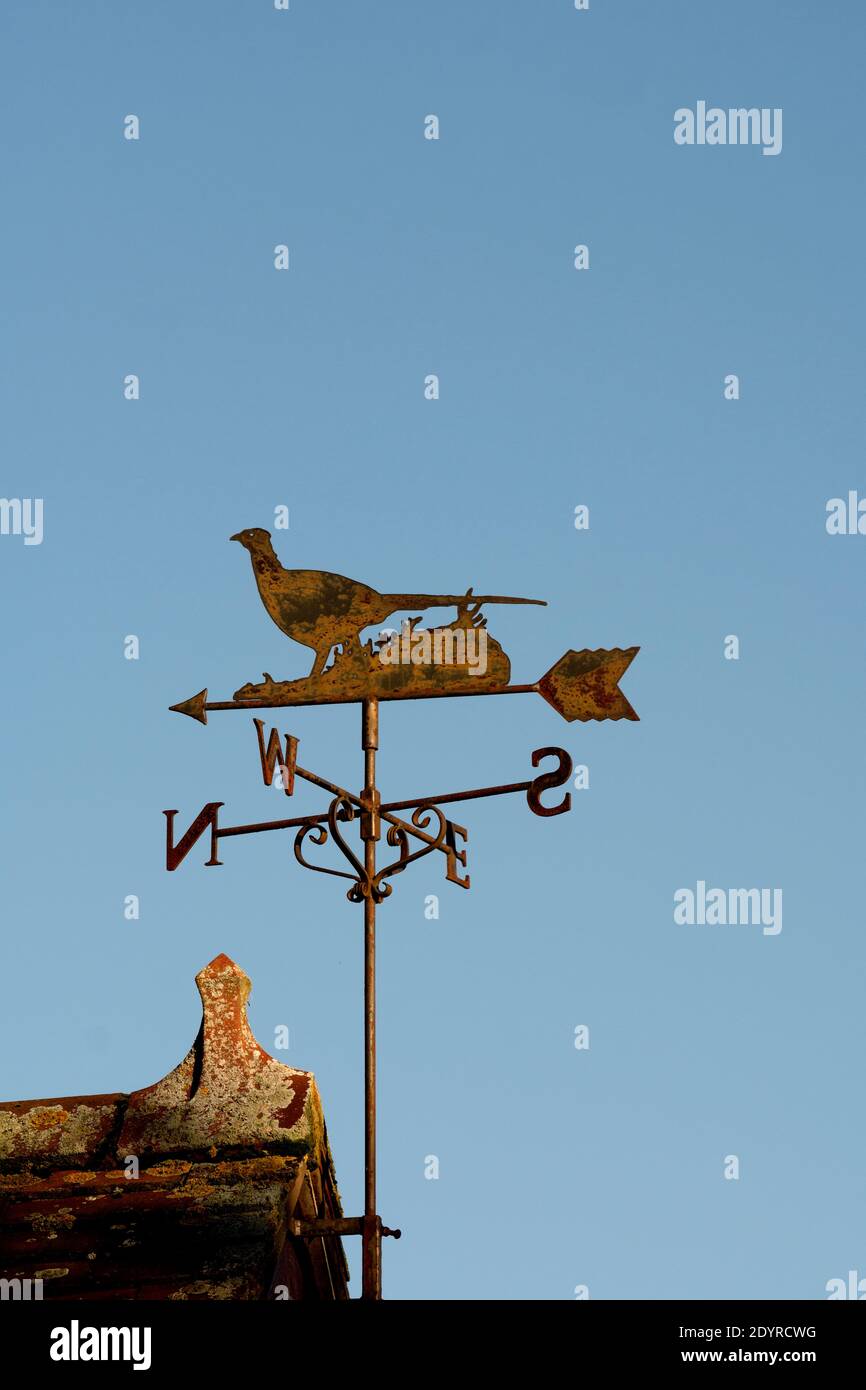 Wind vane bird hi-res stock photography and images - Alamy