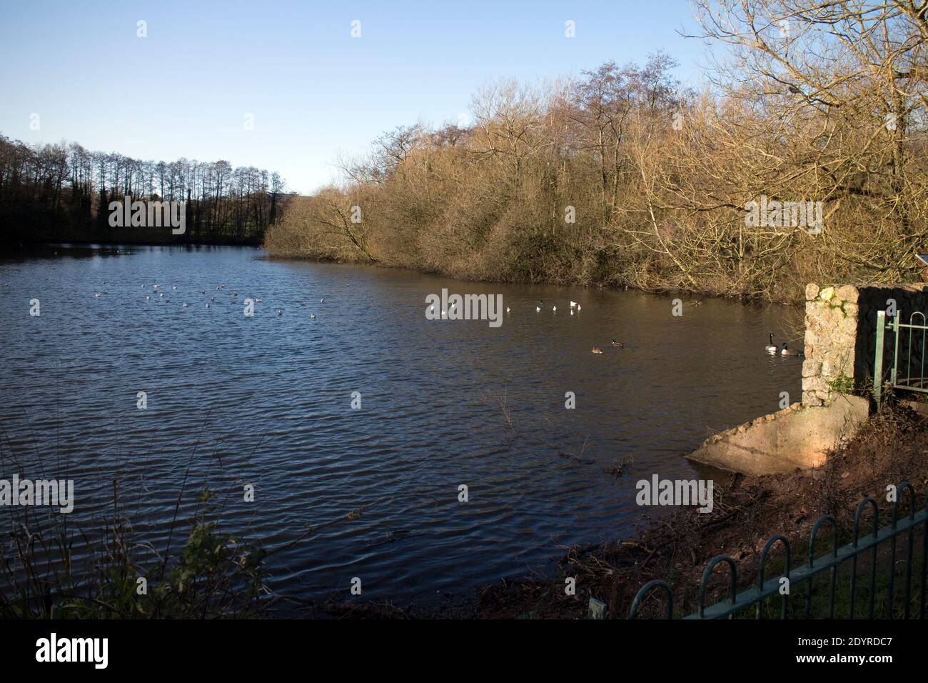 The lake at Hillfield Park in winter, Monkspath, Solihull, West ...