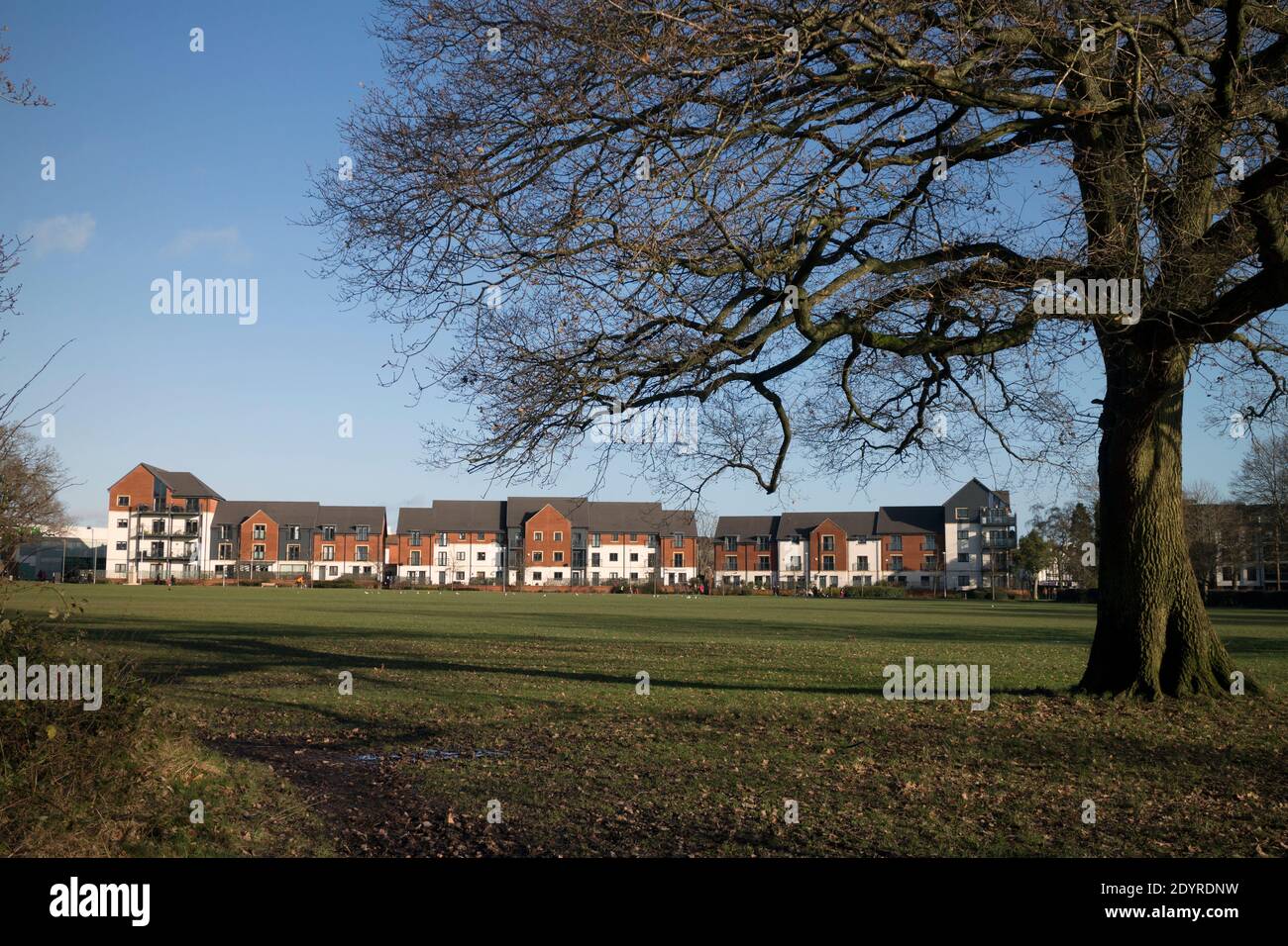 Shirley Park in winter, Shirley, West Midlands, England, UK Stock Photo ...