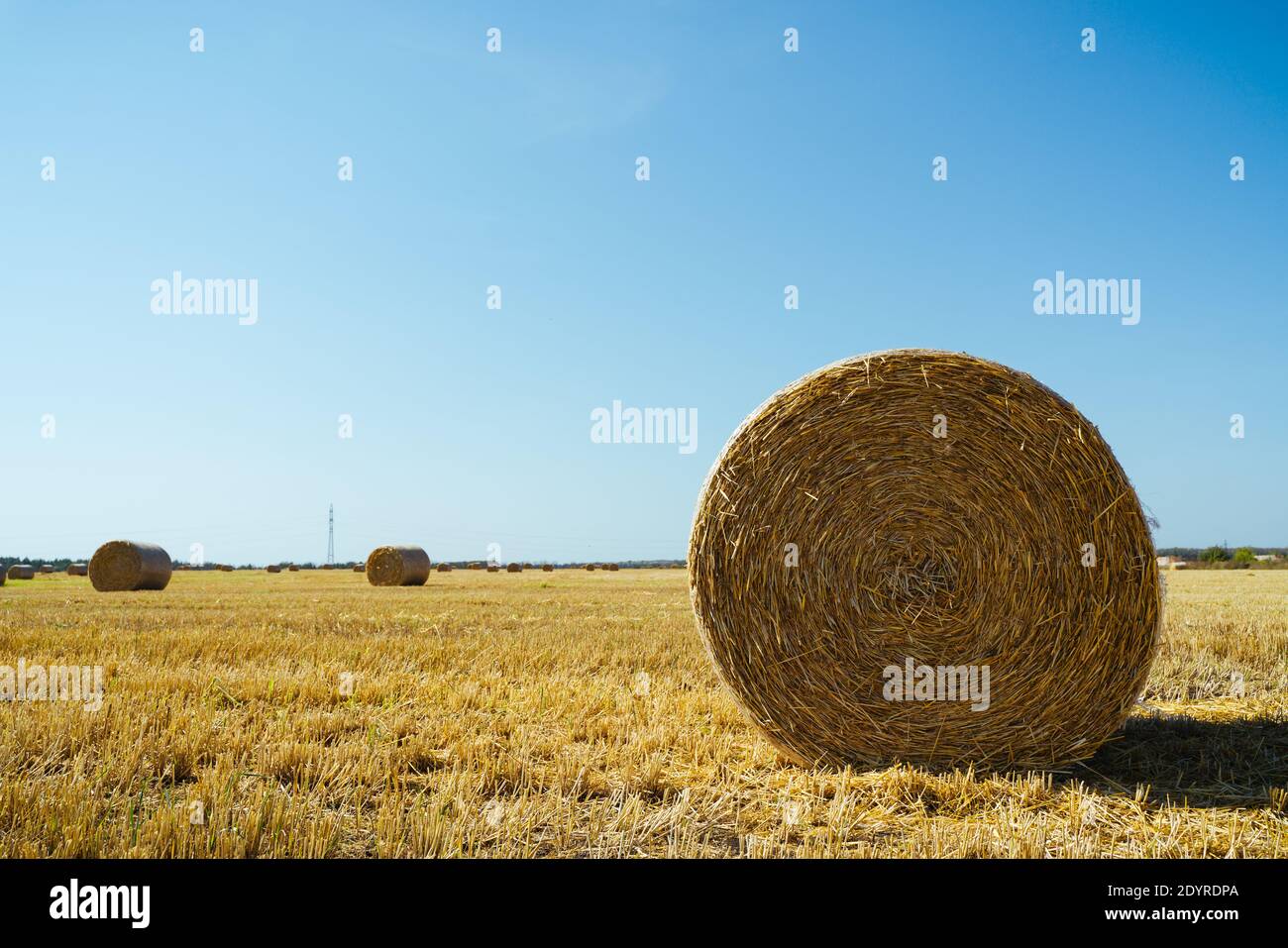 Wheat field straw bales hi-res stock photography and images - Alamy