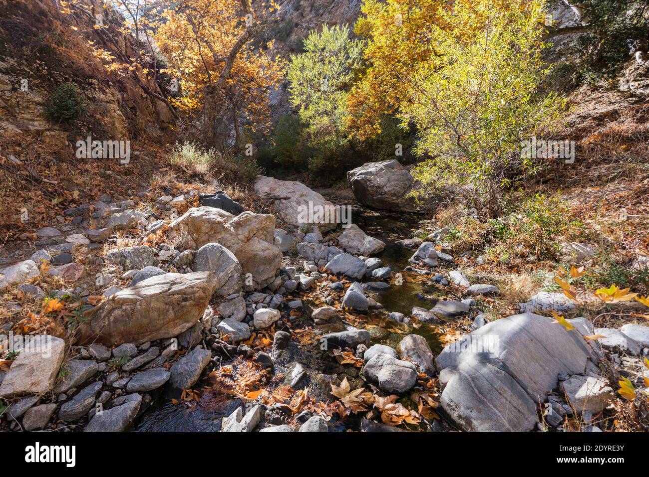 Fish lake national forest hi-res stock photography and images - Alamy