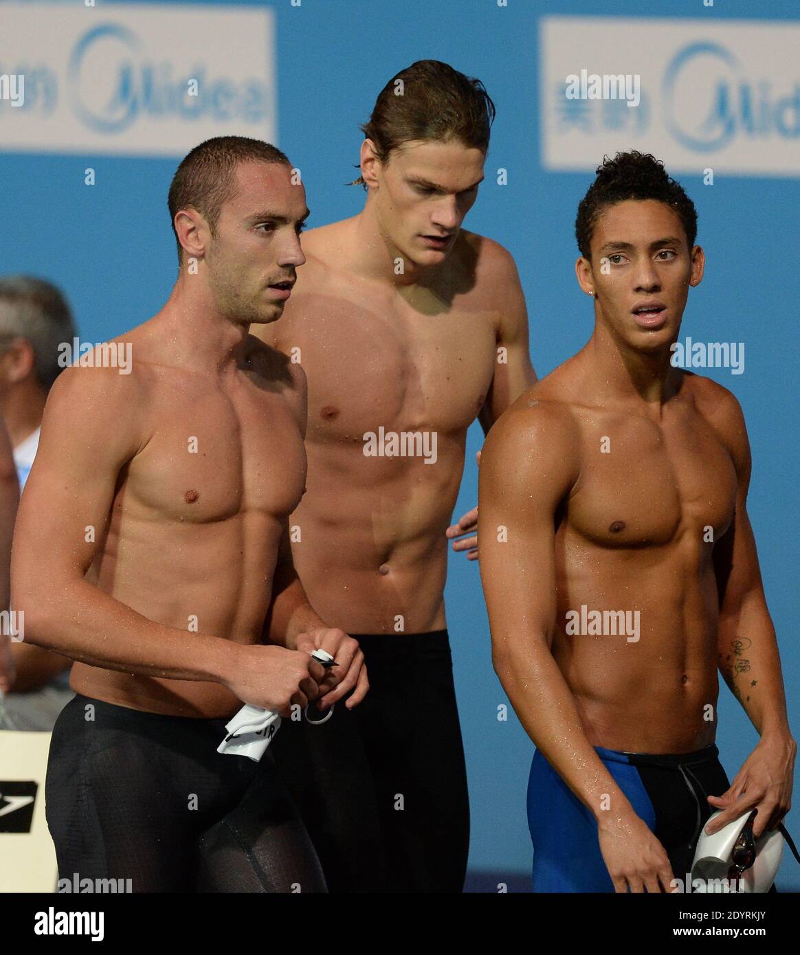 Lorys hi-res stock photography and images - Alamy