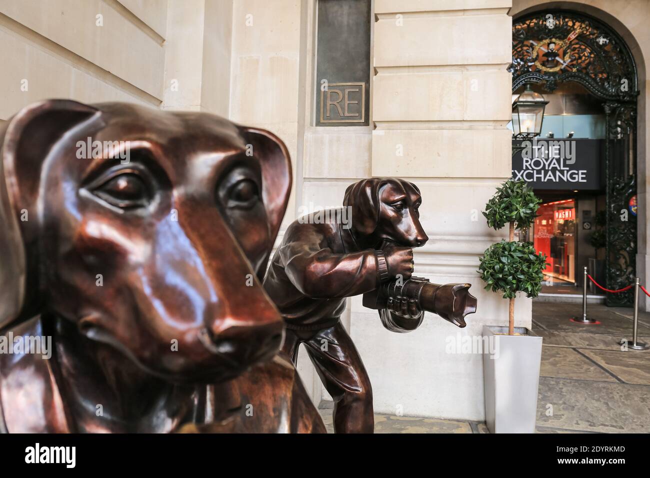 The paparazzi dogs hi-res stock photography and images - Alamy