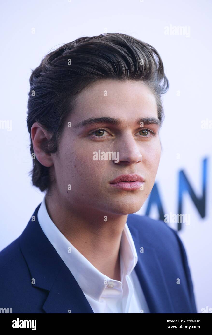 Will Peltz attends the premiere of 'Paranoia' at DGA Theater in Los ...