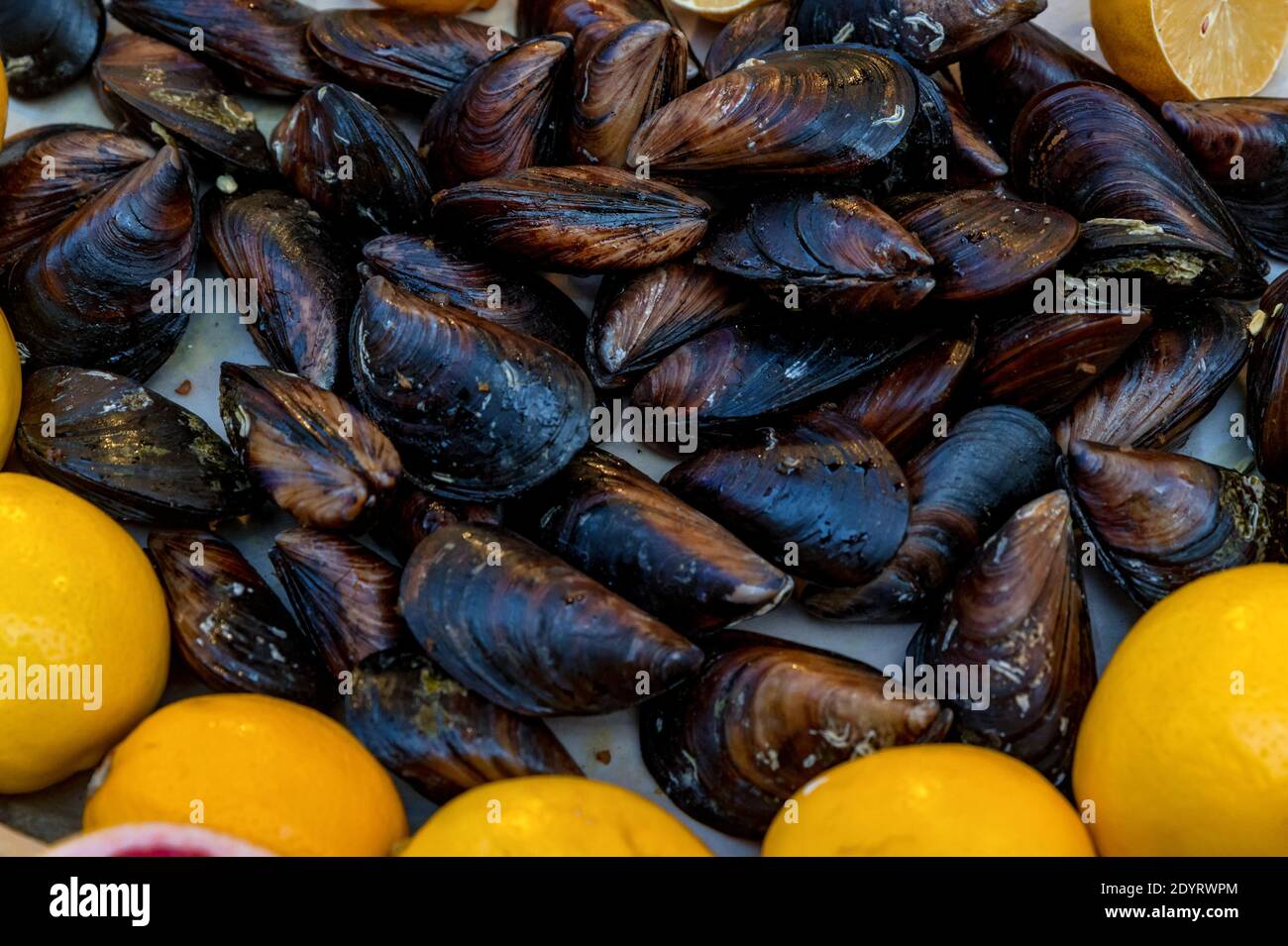 Close up of fresh unkooked Mussels on turkish market Stock Photo - Alamy