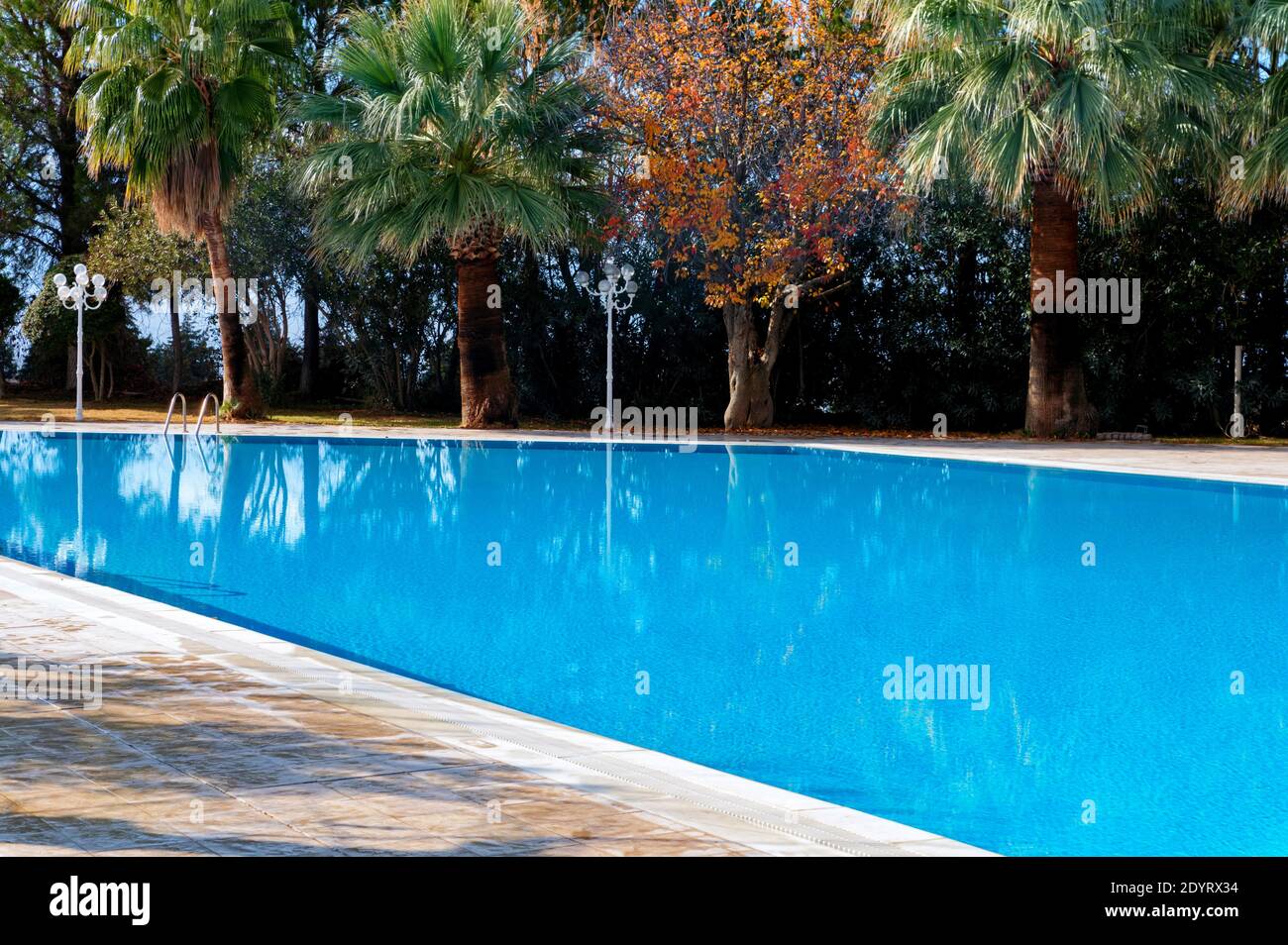 Tropical swimming pool landscape in autumn Stock Photo - Alamy
