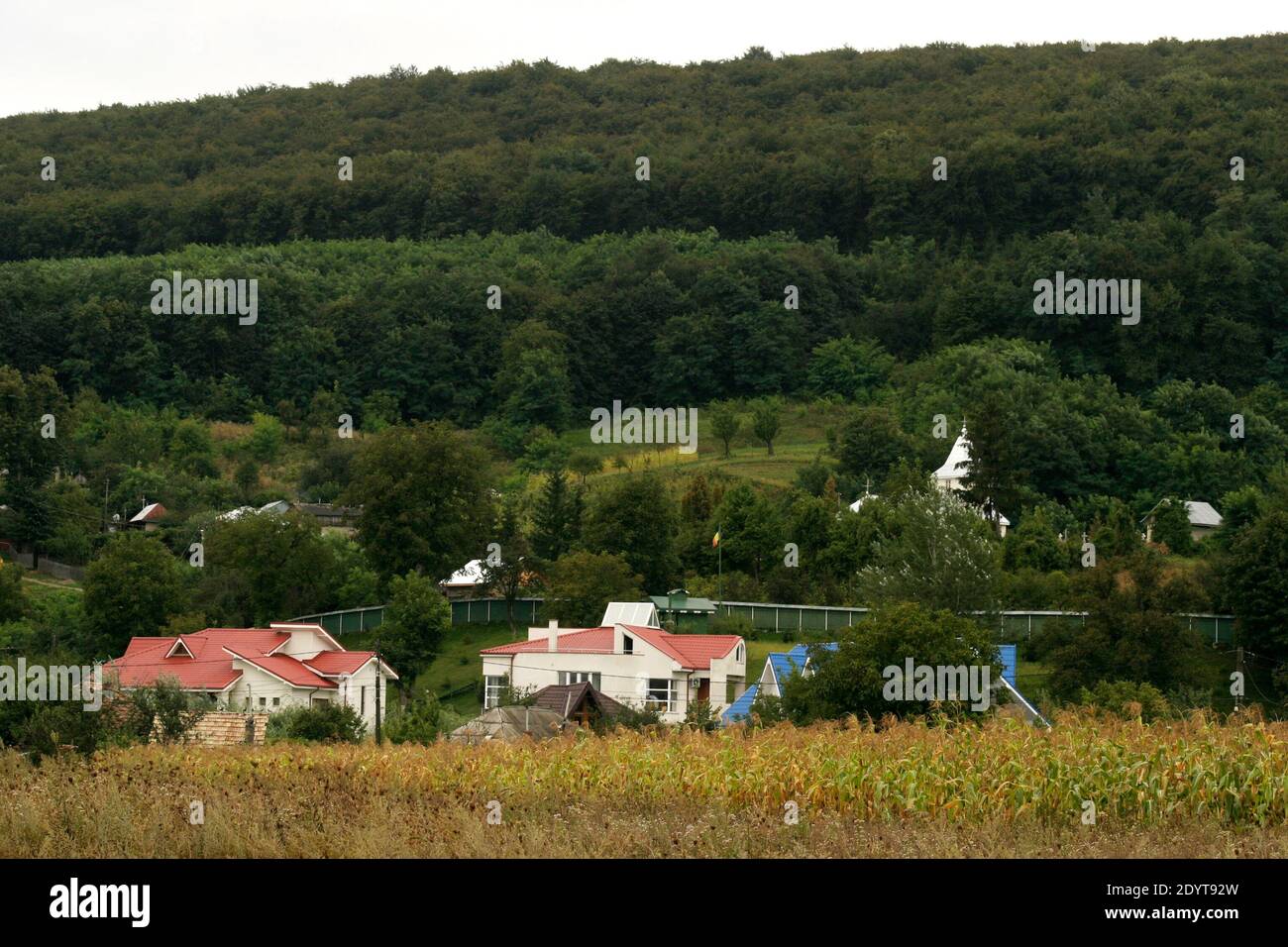 Hemeius, Bacau County, Romania. Landscape with field and woods. New ...
