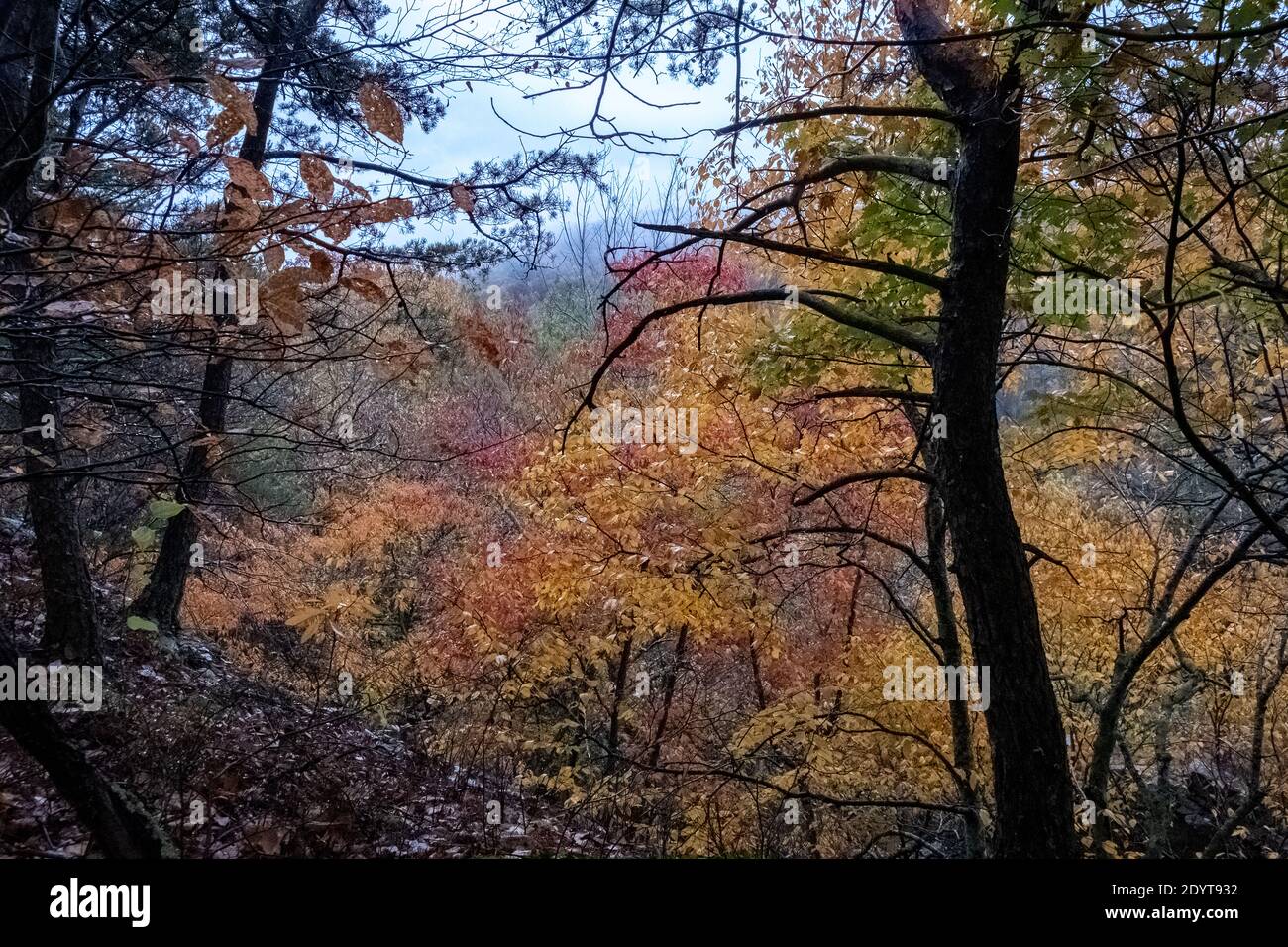 Fall Color Breaks Interstate Park Virginia Stock Photo - Alamy