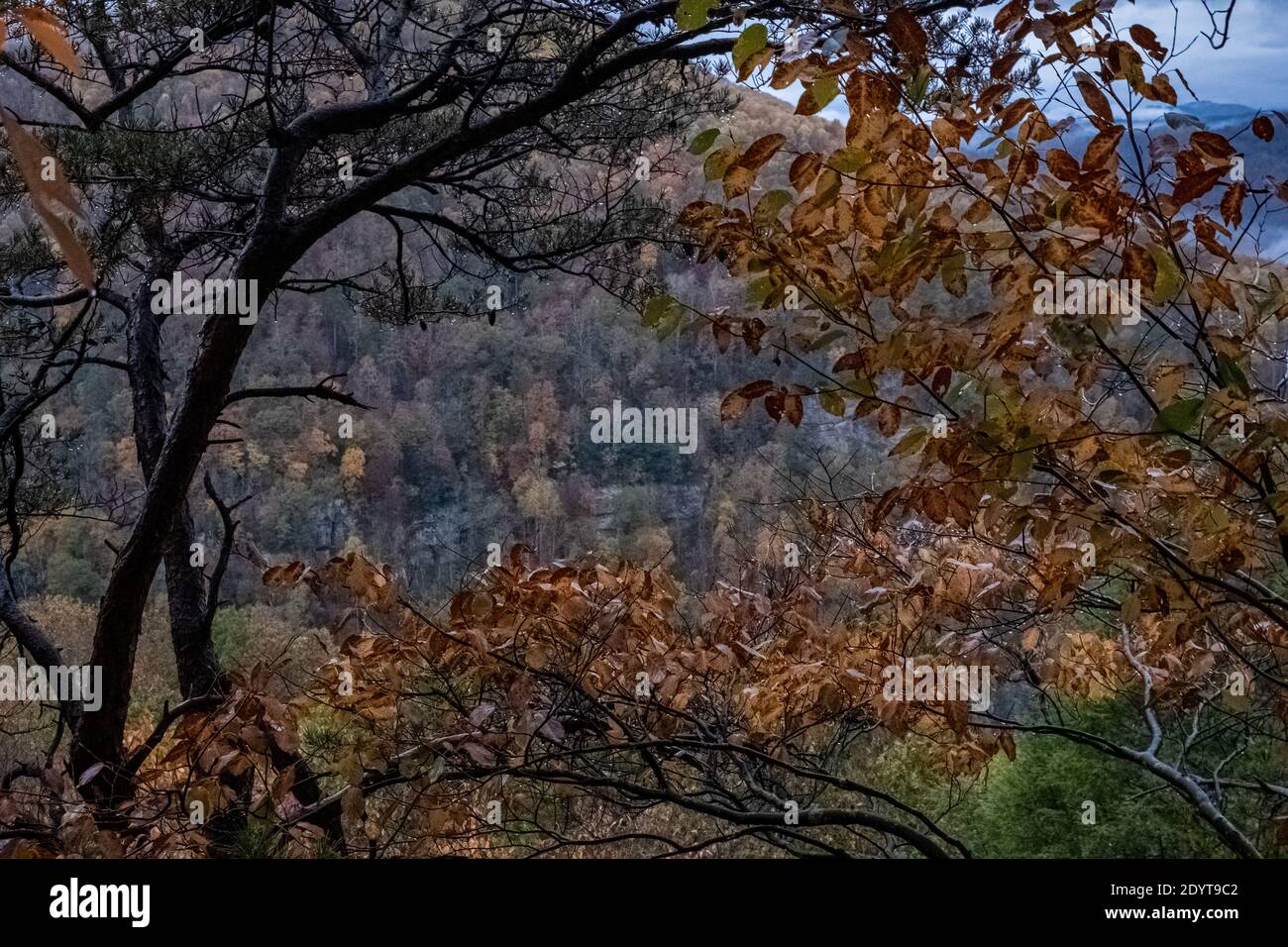 Fall Color Breaks Interstate Park Virginia Stock Photo - Alamy