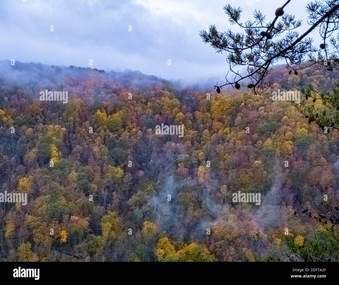 Fall Color Breaks Interstate Park Virginia Stock Photo - Alamy