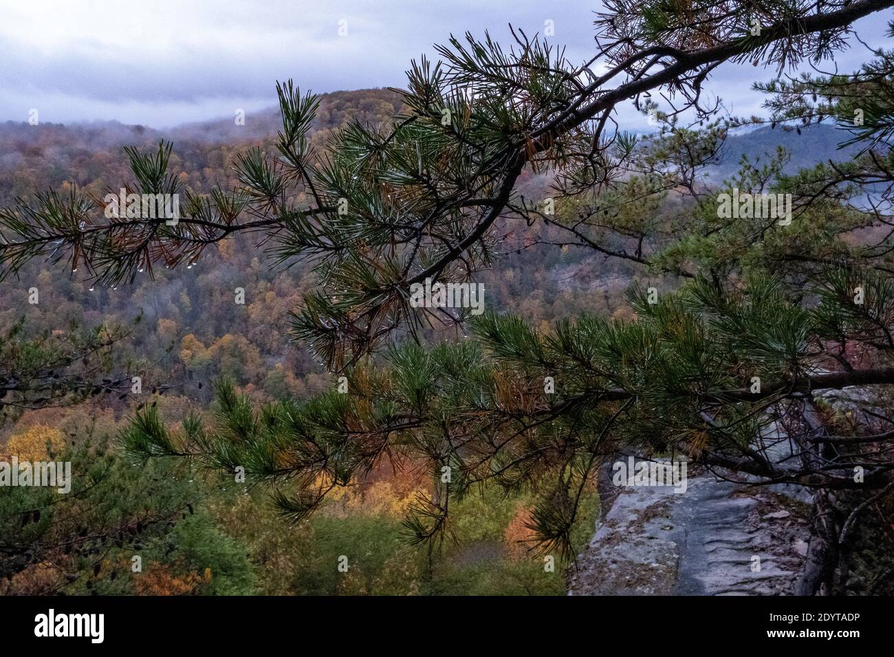 Fall Color Breaks Interstate Park Virginia Stock Photo - Alamy