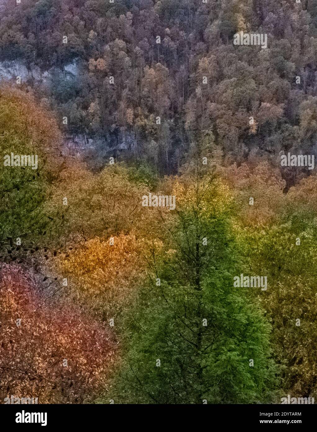 Fall Color Breaks Interstate Park Virginia Stock Photo - Alamy