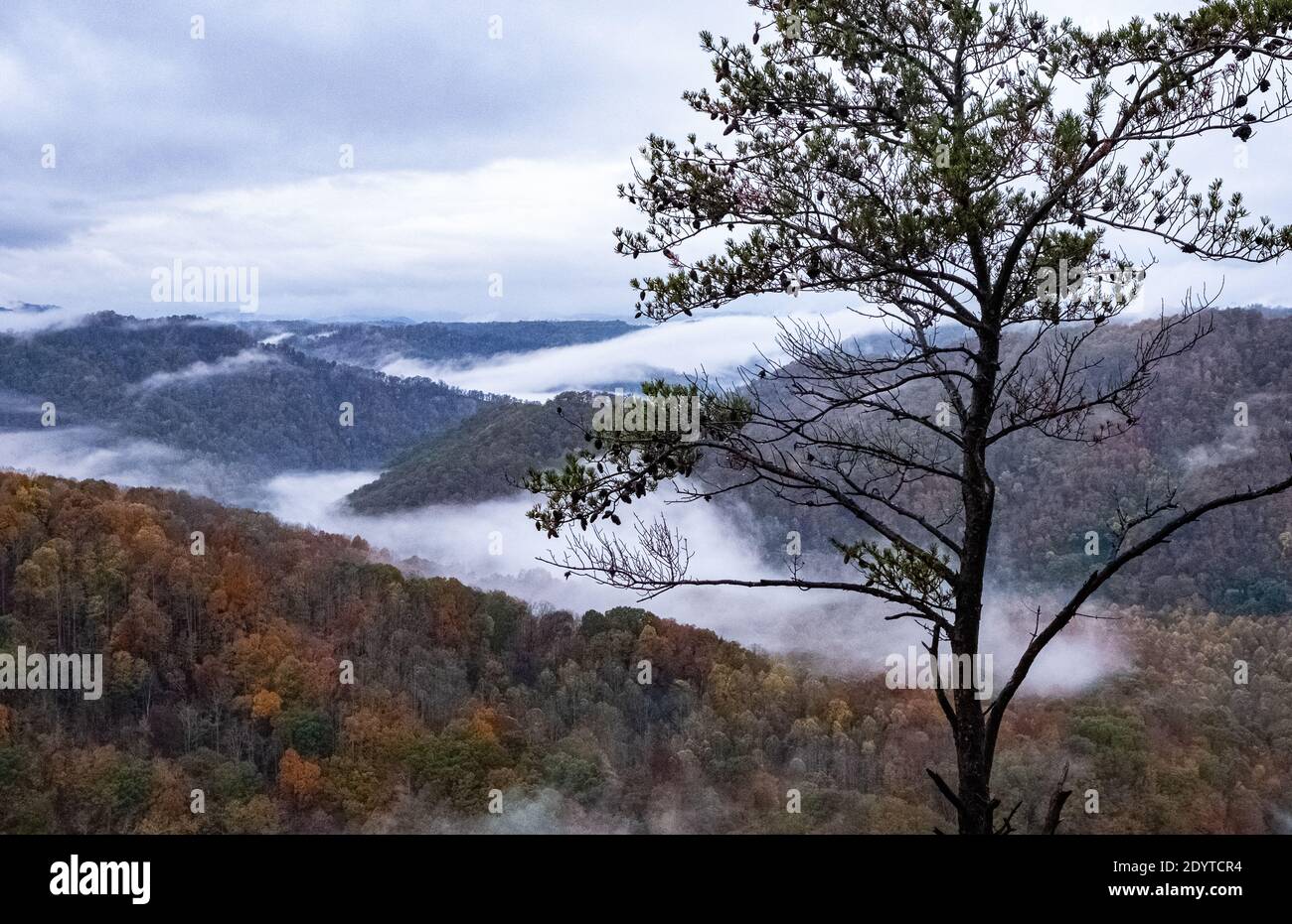 Breaks Interstate Park Virginia Stock Photo - Alamy