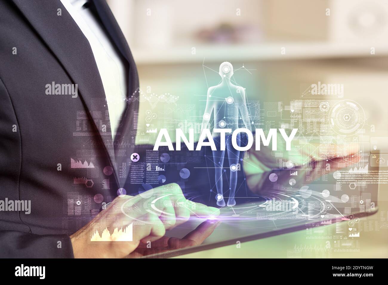 Electronic medical record with ANATOMY inscription, Medical technology ...