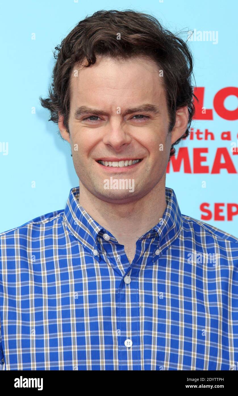Bill Hader, Sony Pictures Animation's Cloudy With A Chance Of Meatballs ...