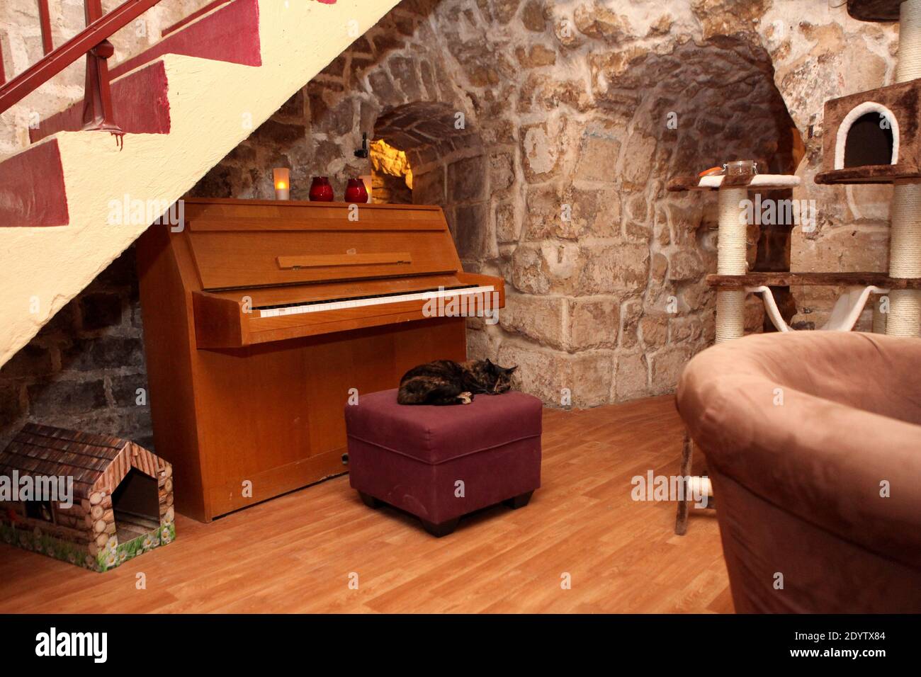Le café des chats, paris hi-res stock photography and images - Alamy