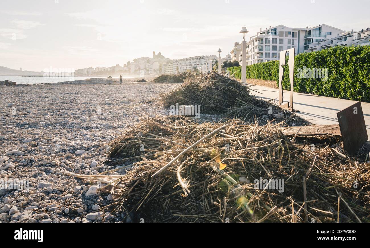 Gloria reed his hi-res stock photography and images - Alamy