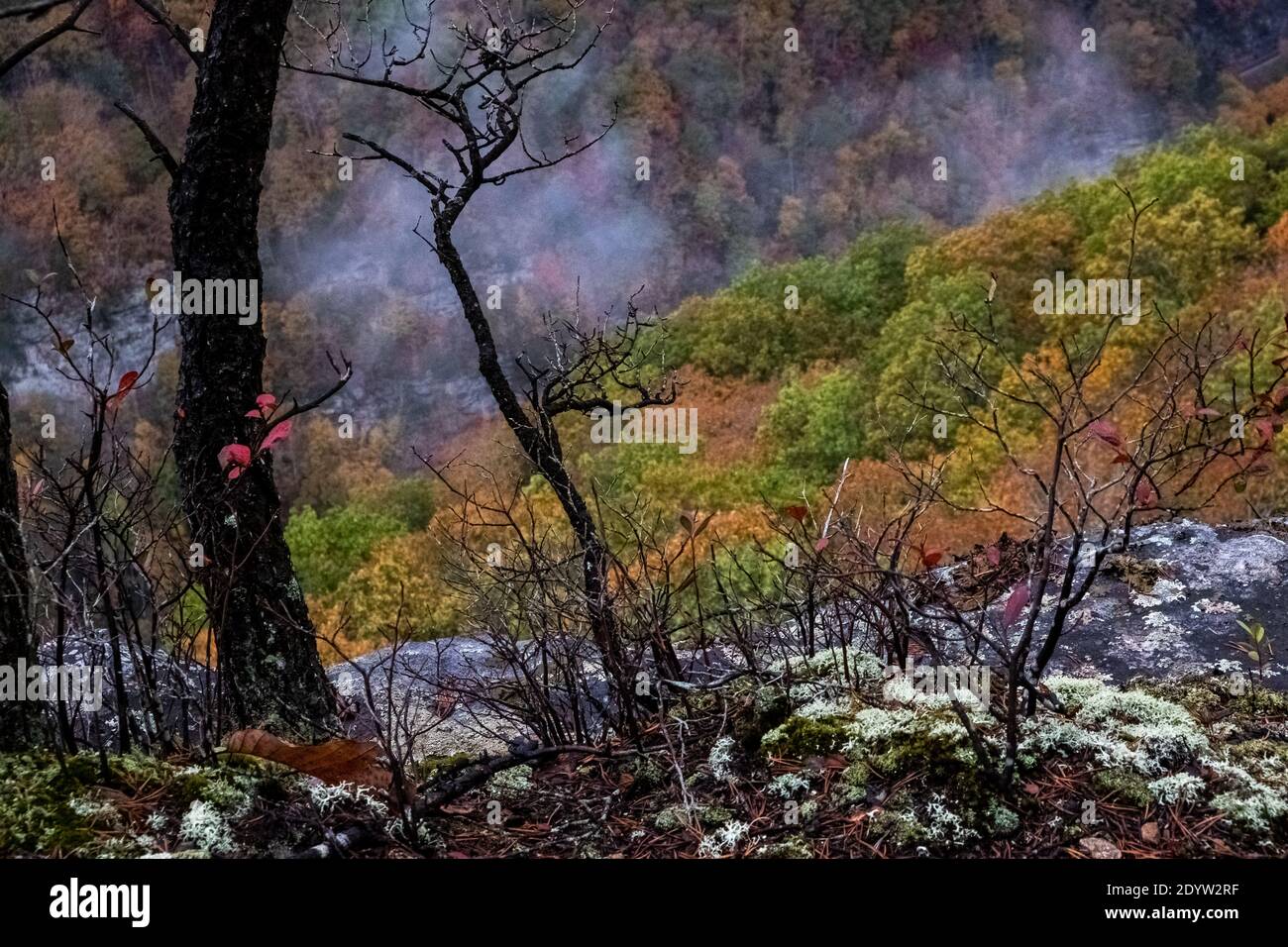Breaks Interstate Park Virginia Stock Photo - Alamy
