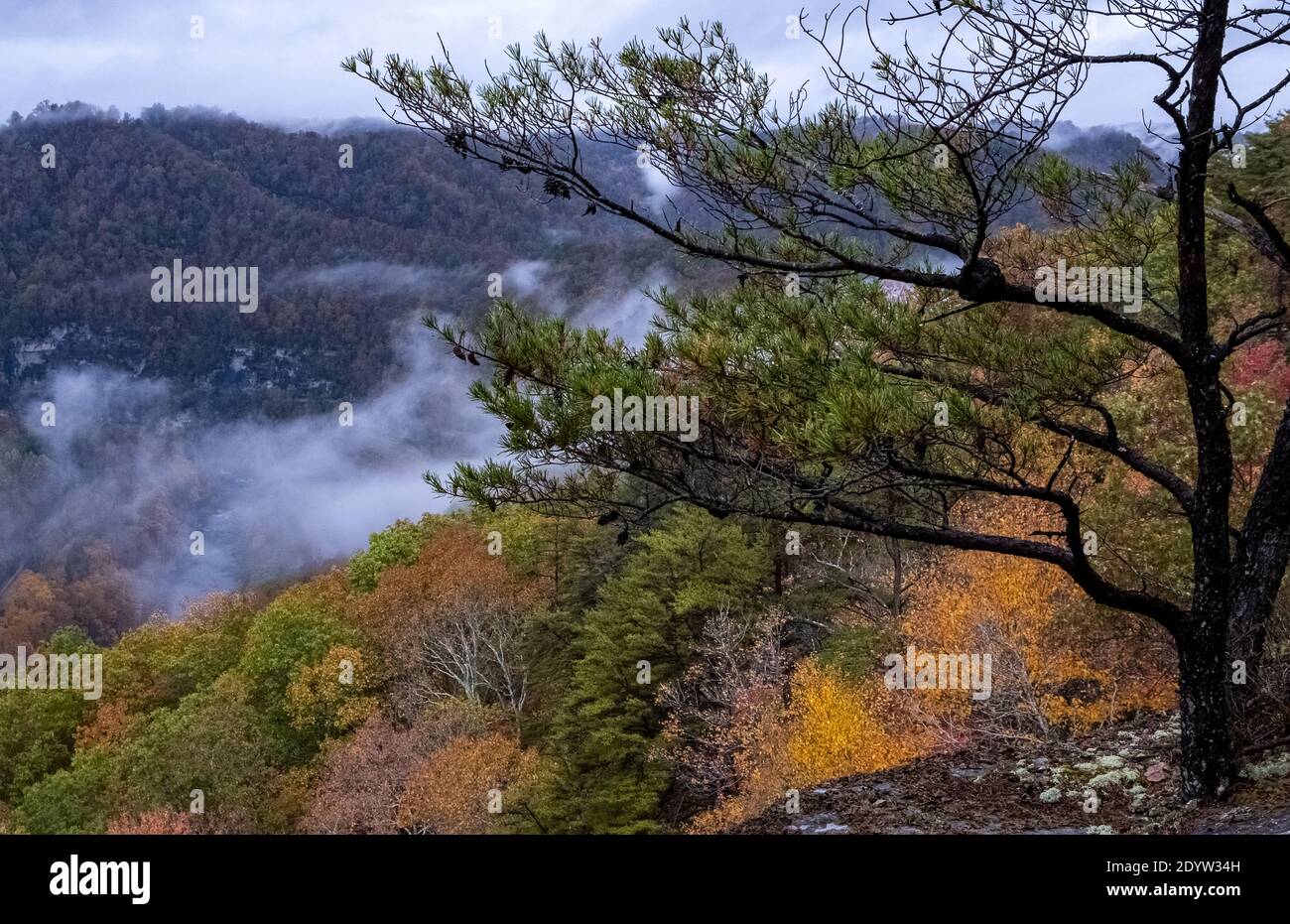 Breaks Interstate Park Virginia Stock Photo - Alamy