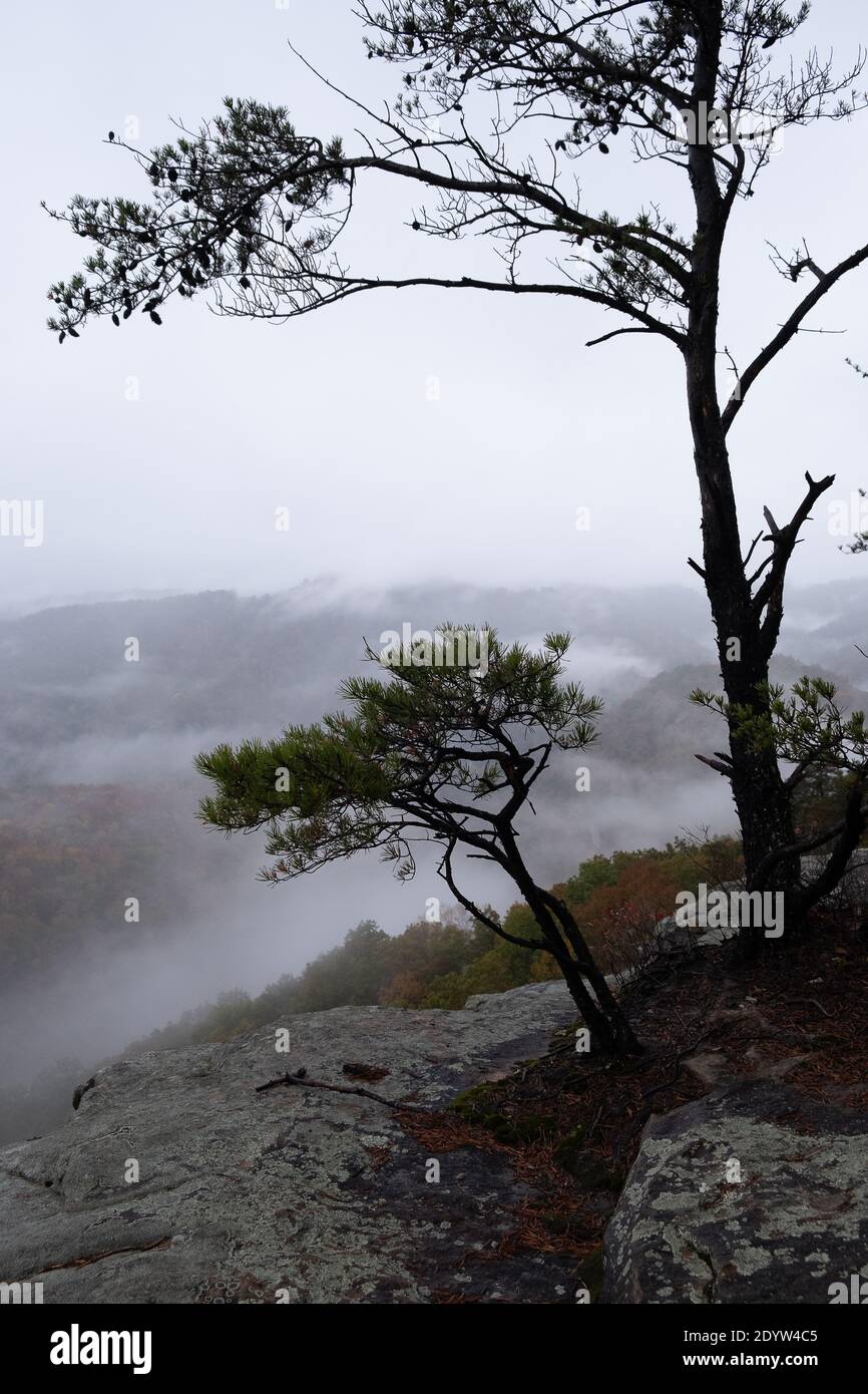 Mountain top landscapes hi-res stock photography and images - Alamy