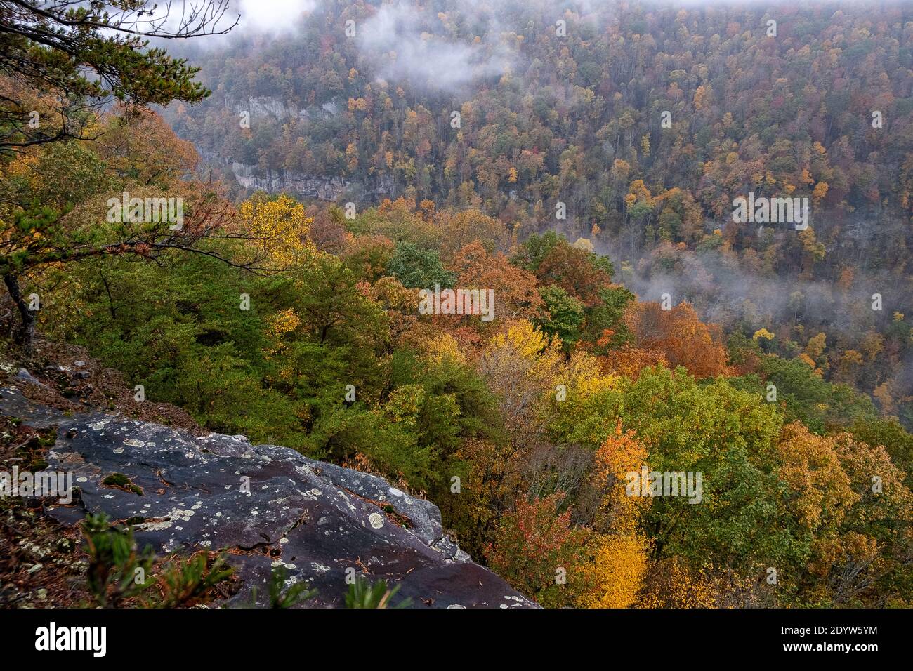 Autumn fall foliage leaves hi-res stock photography and images - Alamy