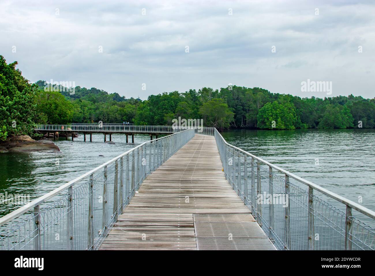 the boardwalk, rock beach and red mangrove in Chek Jawa wetland. It is ...