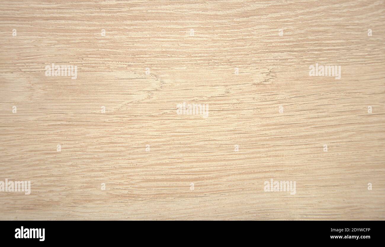 Light beech, natural wood surface close-up. Background, texture Stock ...
