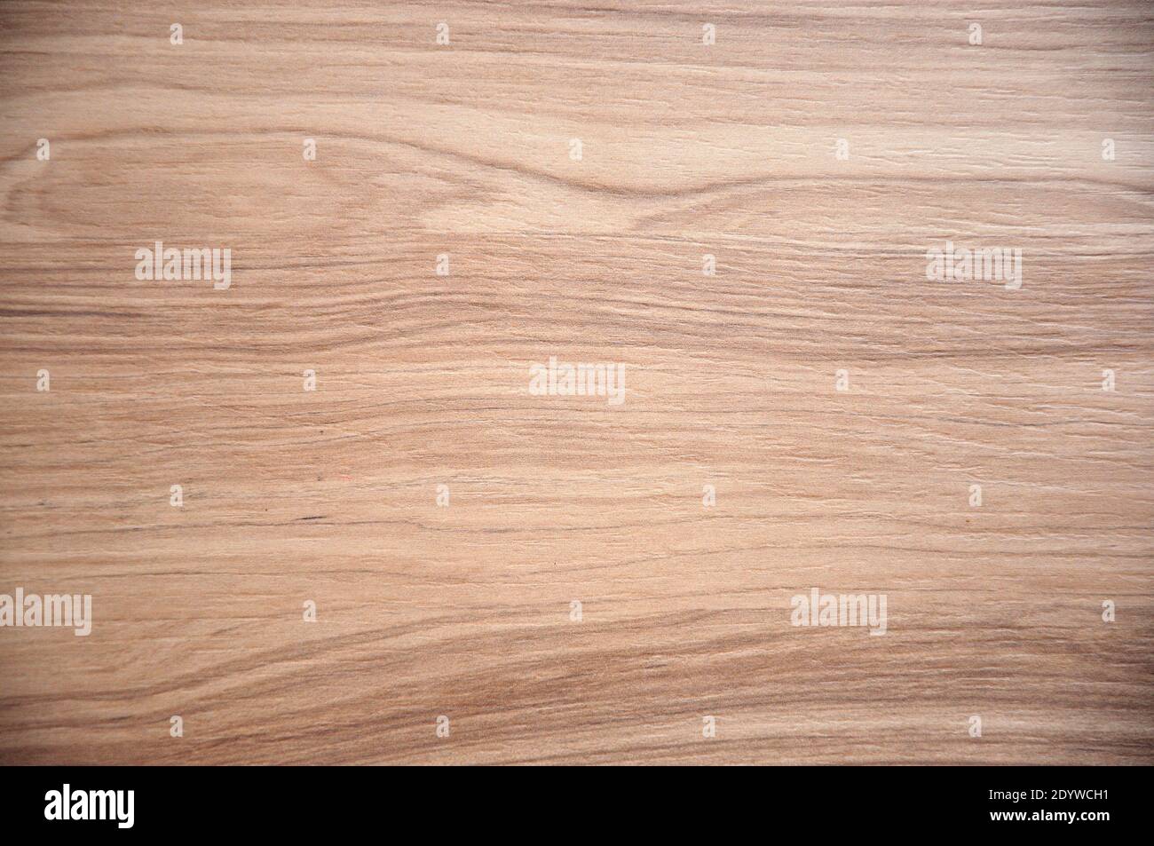 Light beech, natural wood surface with a characteristic wavy pattern ...
