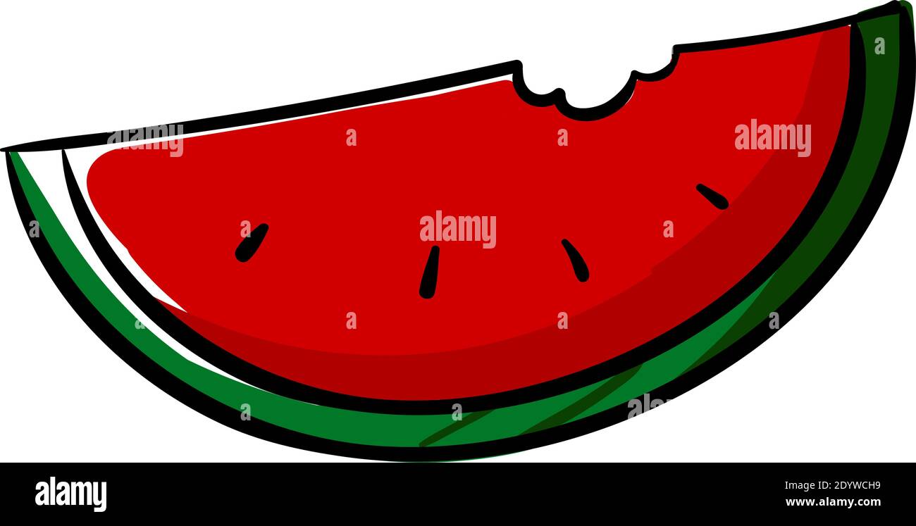 Bitten watermelon, illustration, vector on a white background Stock ...