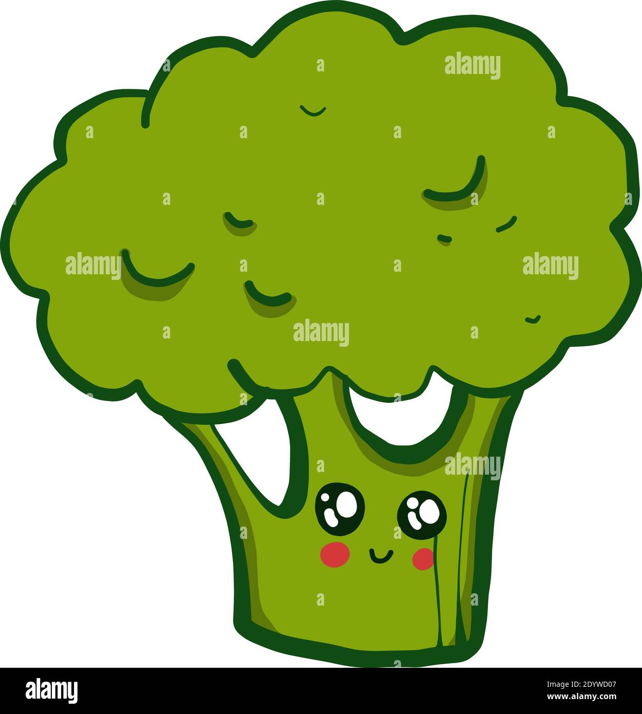 Cute broccoli, illustration, vector on a white background Stock Vector ...