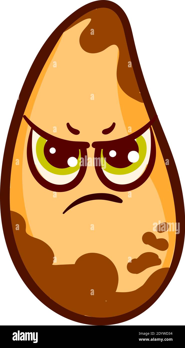 Angry Brazil nut, illustration, vector on a white background Stock ...