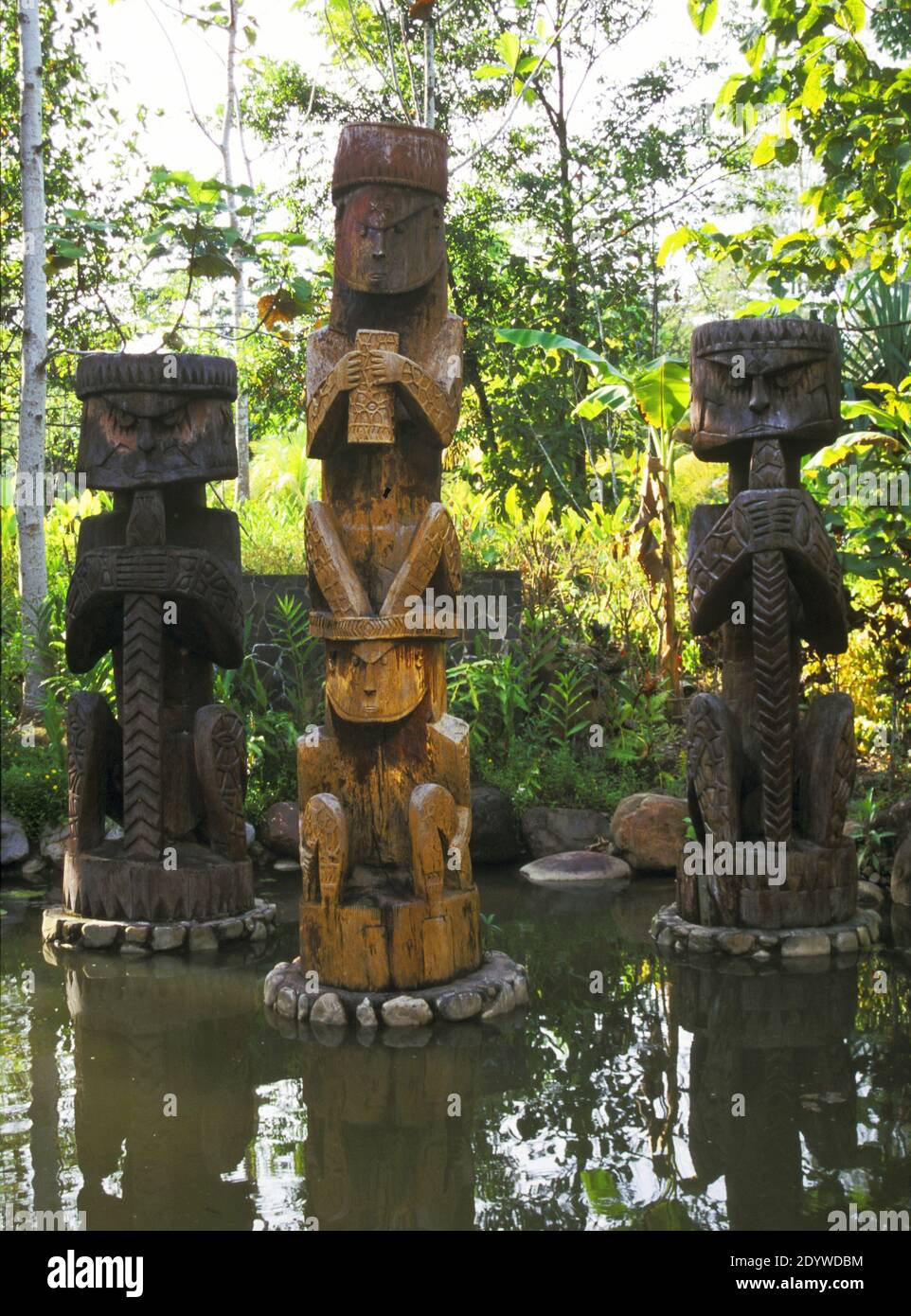 Papuan Tribes High Resolution Stock Photography and Images - Alamy