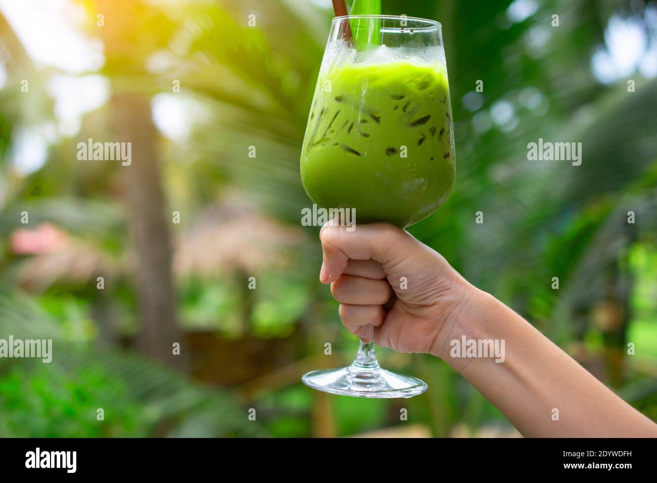 Hand holding glass of Green tea for drink and Green background Stock ...